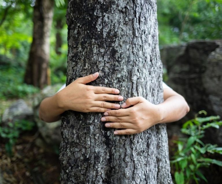 Podcast Terres du Val de Loire - Alice Mallet, chargée des visites guidées